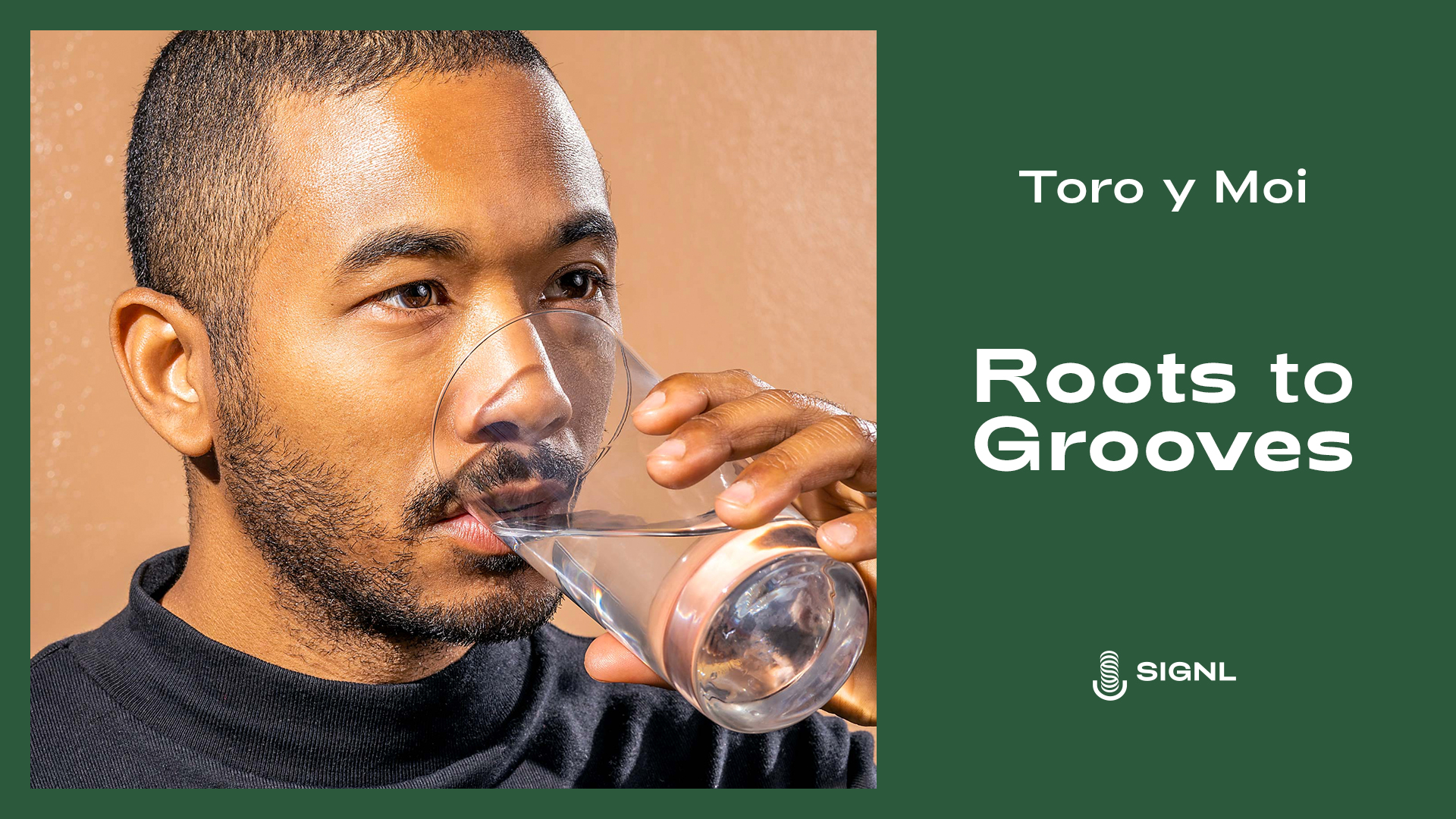 Roots to Grooves - Toro y Moi • SIGNL